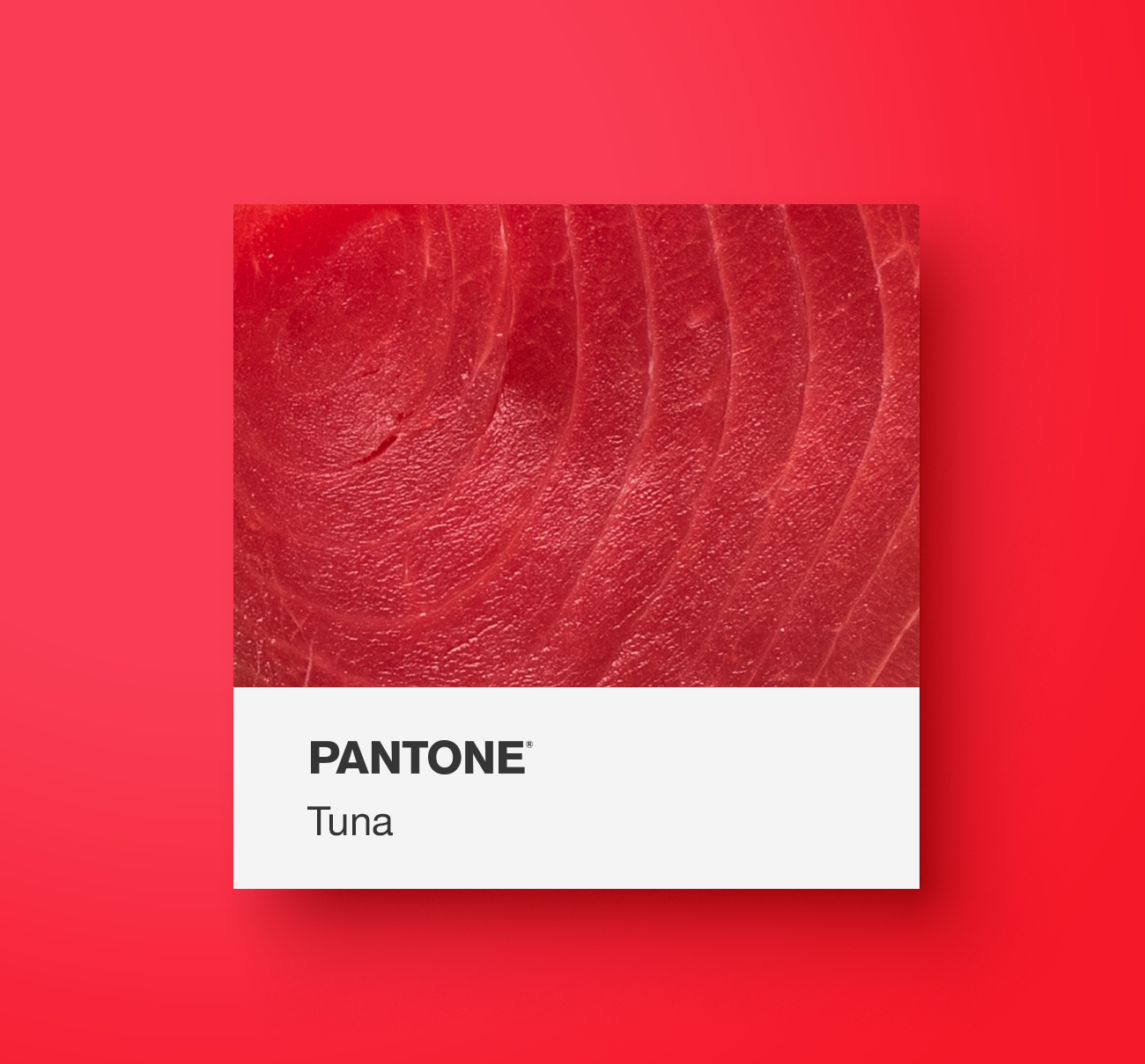 PANTONE RED - yoenpaperland