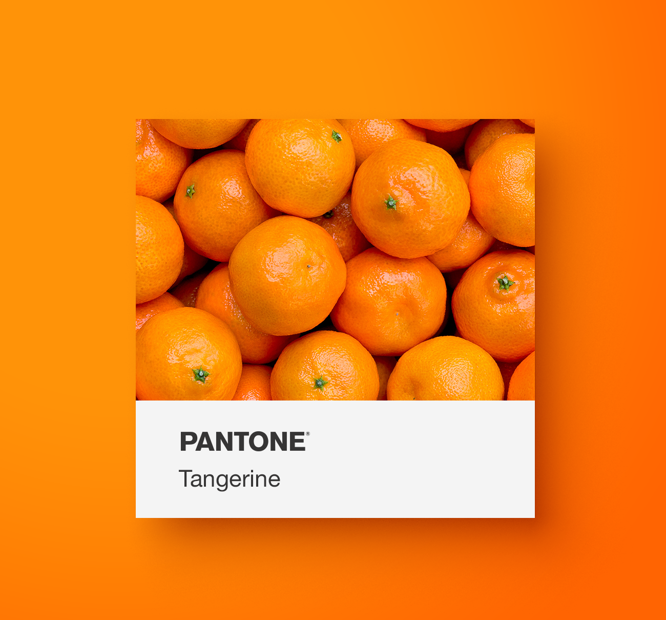 Pantone Orange - yoenpaperland