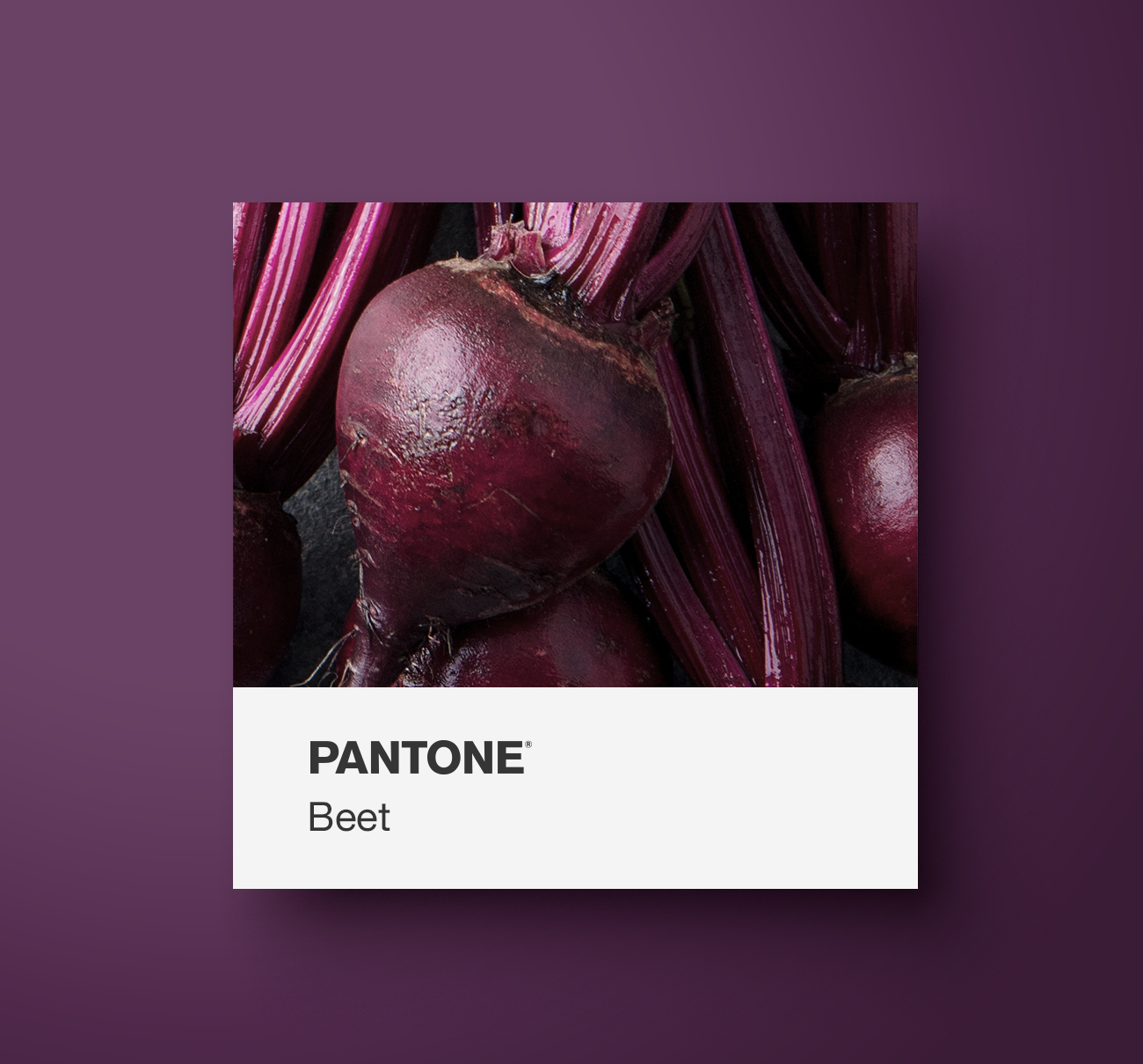 PANTONE PURPLE - yoenpaperland
