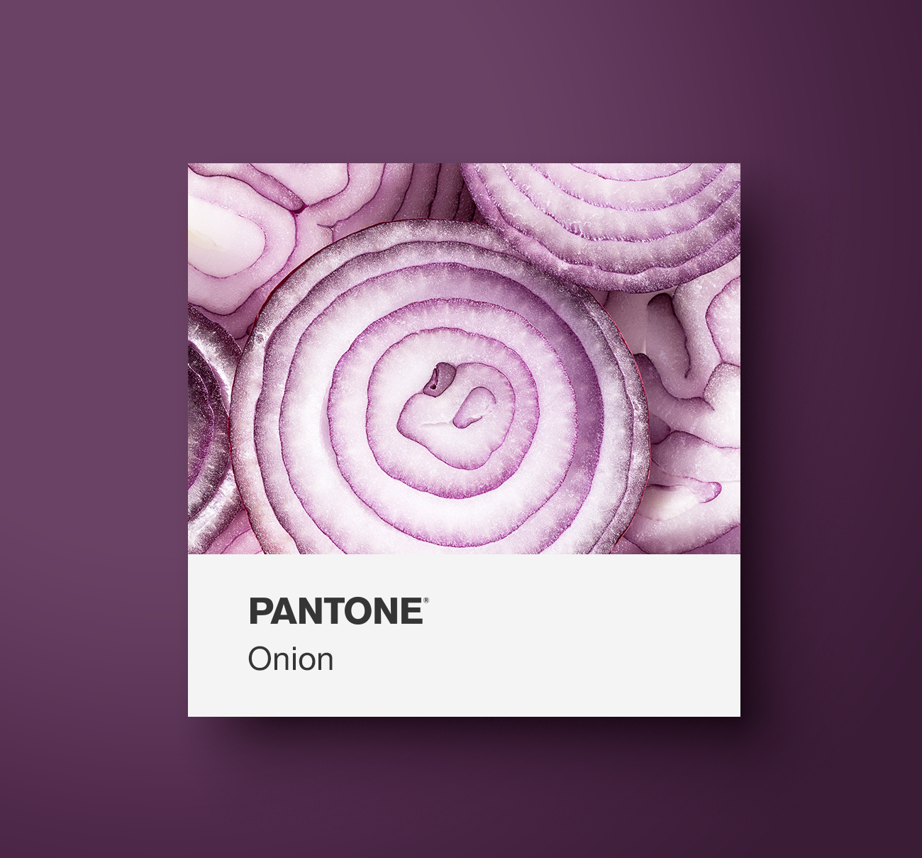PANTONE PURPLE - yoenpaperland